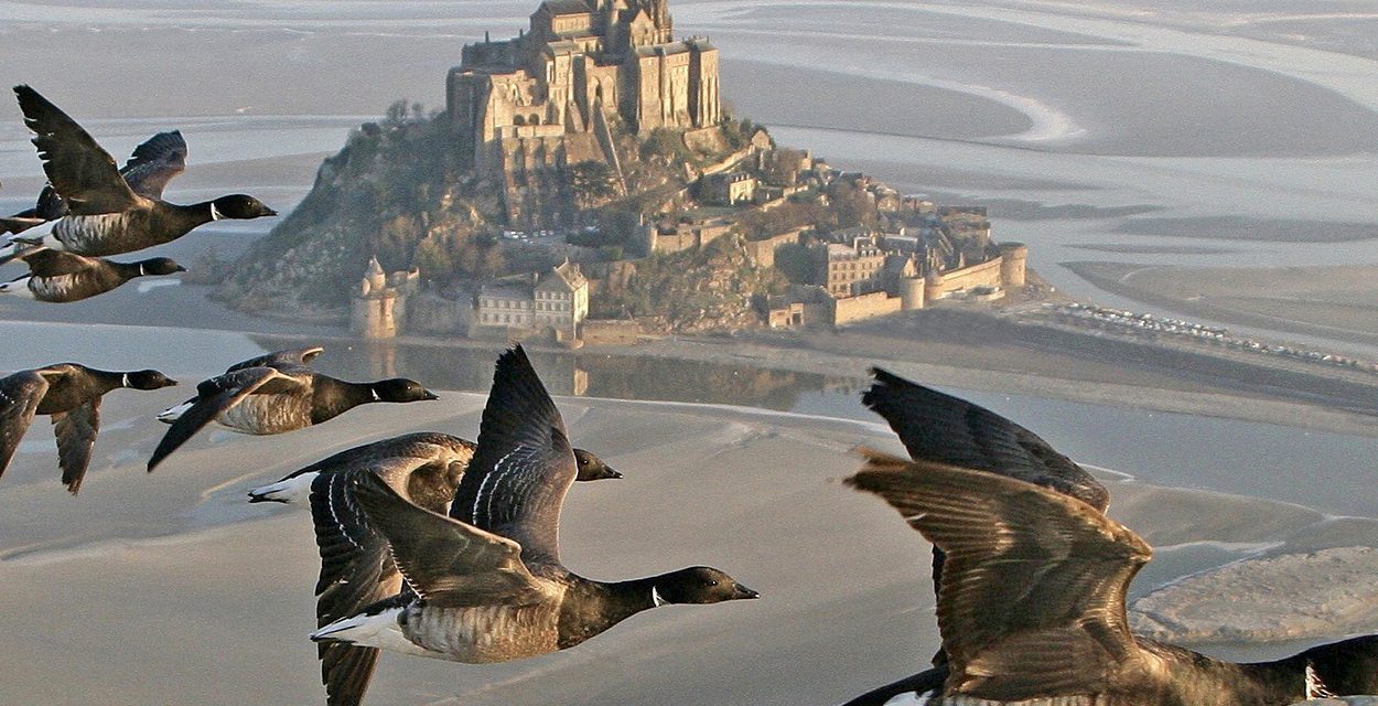 Roz Armor - Vacances en groupe en Bretagne - CAPFRANCE